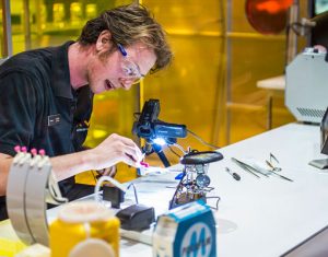 Australian Museum Spiders | Event Engineering